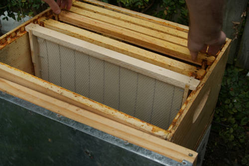 Beekeeping 101